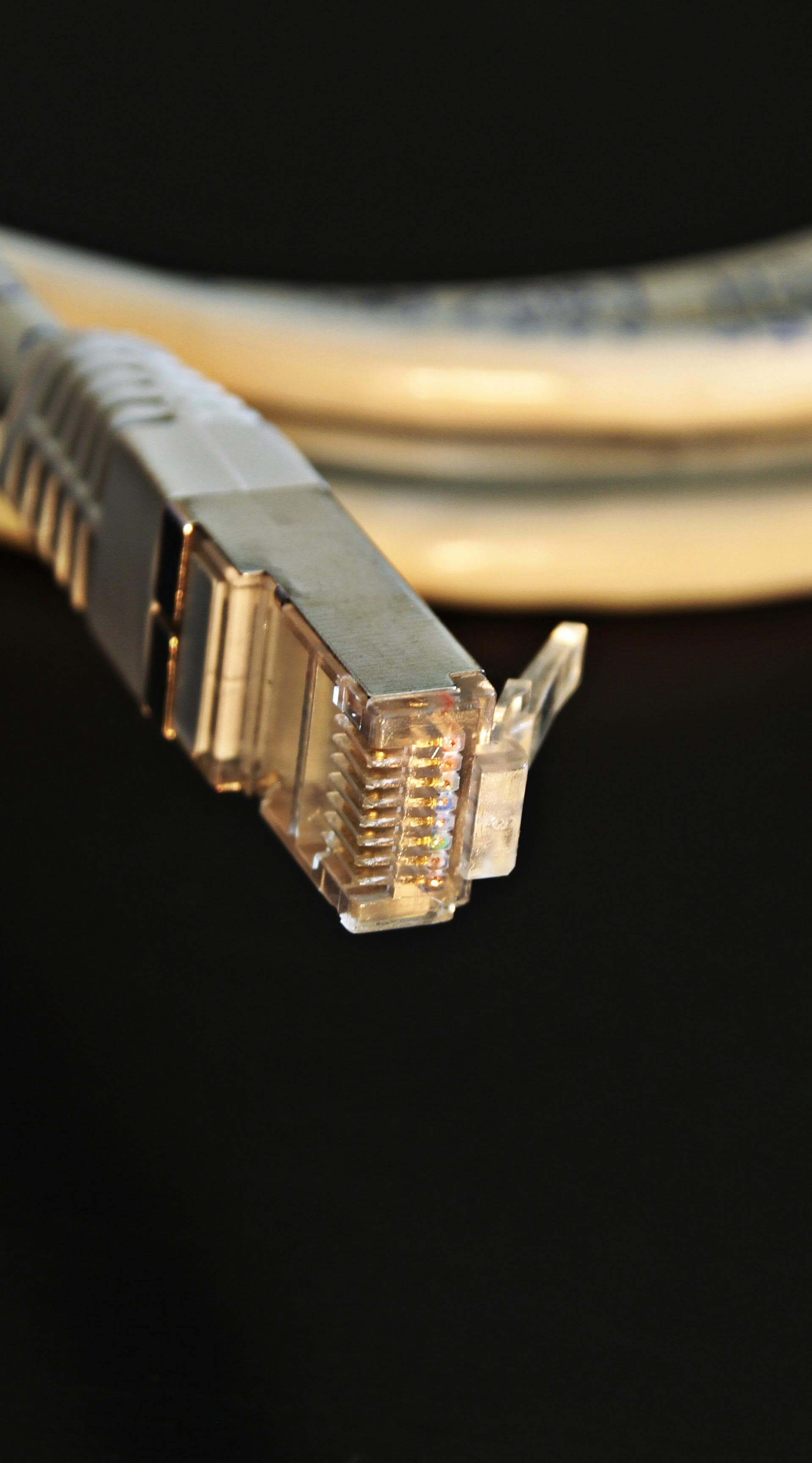 What is an Intranet? The Complete Guide to the Private Digital ...